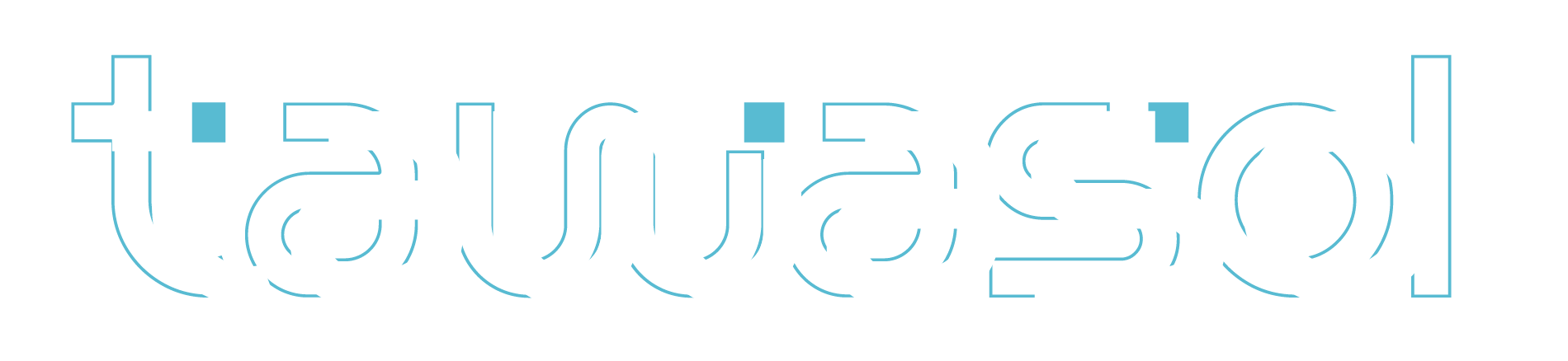 About – Tawasol Telecom